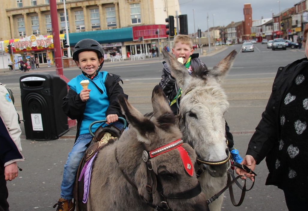 IMG_2466-X3 – Blackpool Scouts
