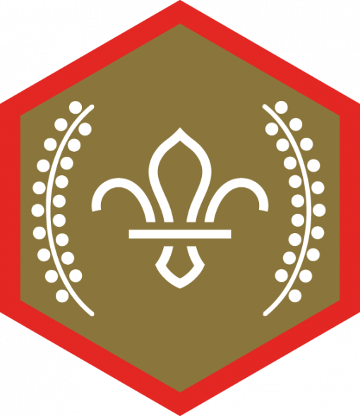 Chief Scout’s Gold Award – Blackpool Scouts