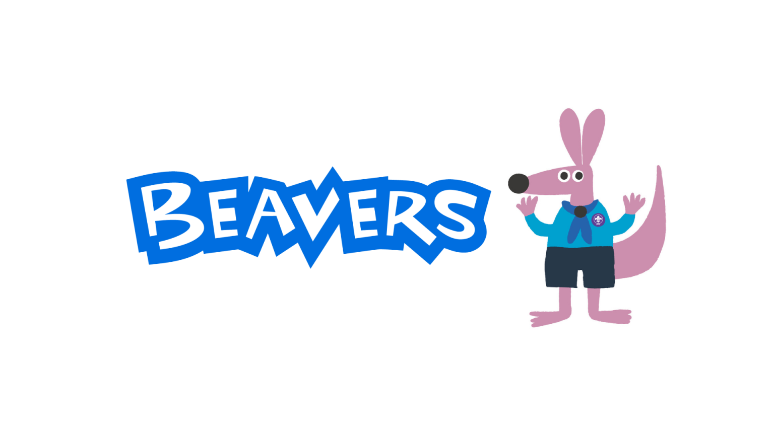 Beavers Event Cover – Blackpool Scouts